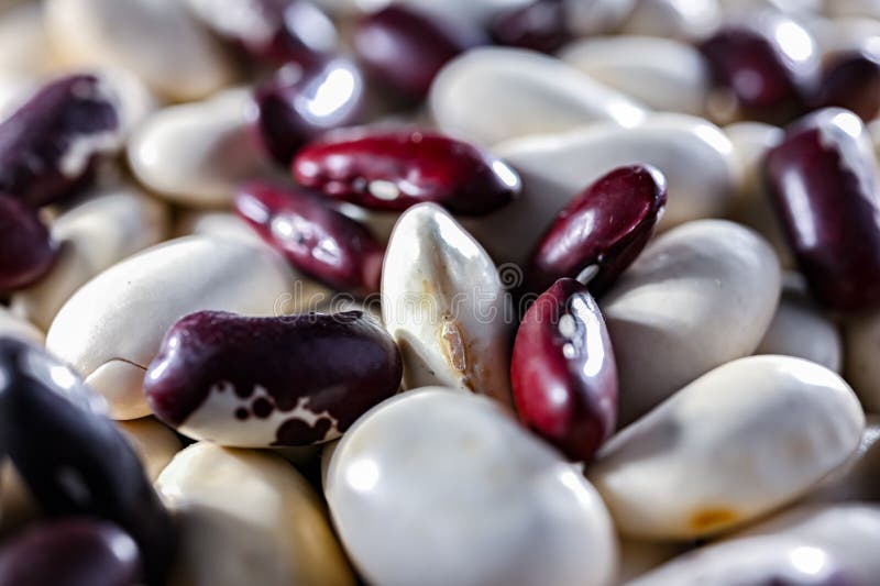 Close-up of kidney beans stock image. Image of eating - 366095489