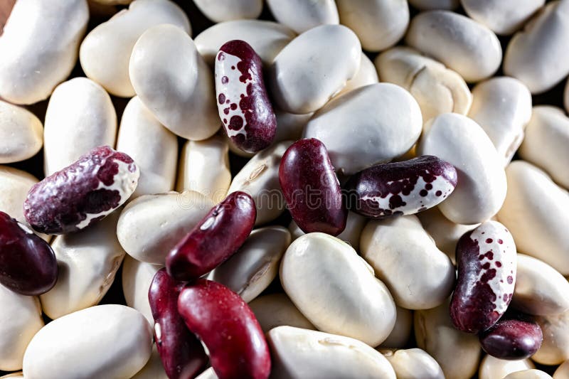 Close-up of kidney beans stock image. Image of cuisine - 366095513