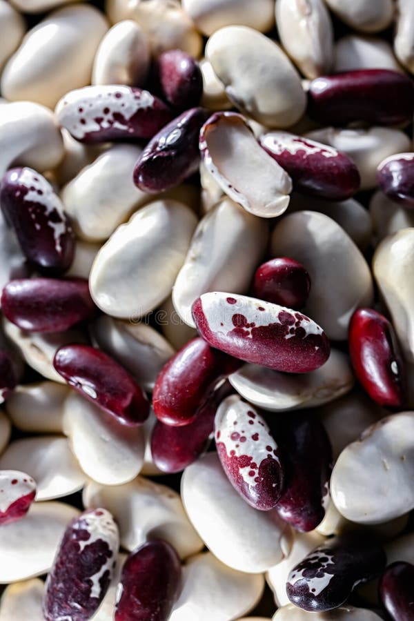 Close-up of kidney beans stock photo. Image of kidney - 366095518