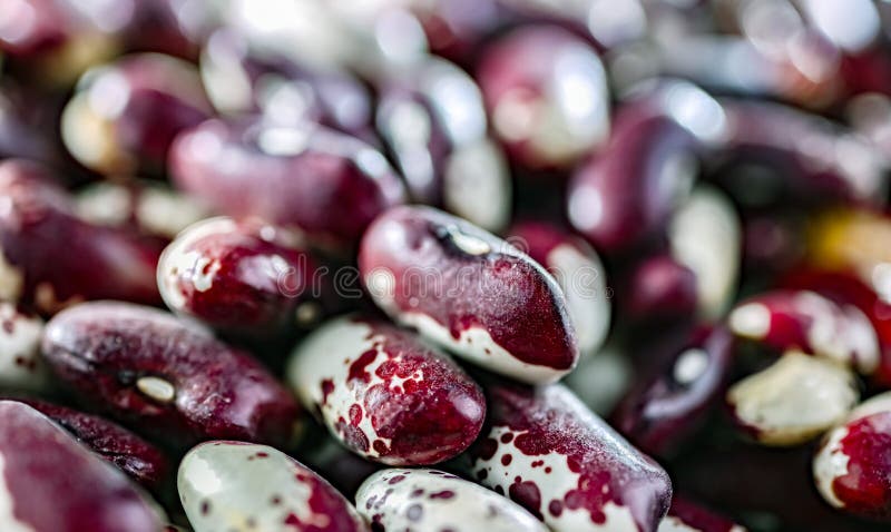 Close-up of kidney beans stock photo. Image of kidney - 366095792