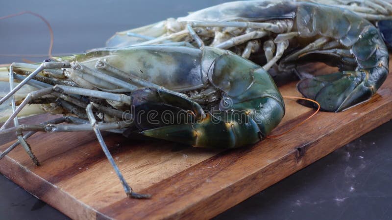Close Up of Raw King Prawn on Table. Stock Video - Video of freshness ...