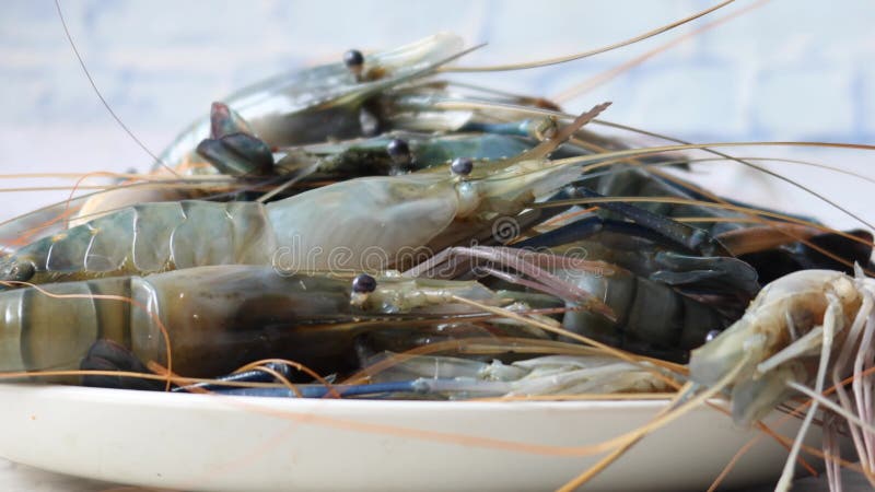 Close Up of Raw King Prawn on Table. Stock Video - Video of table ...