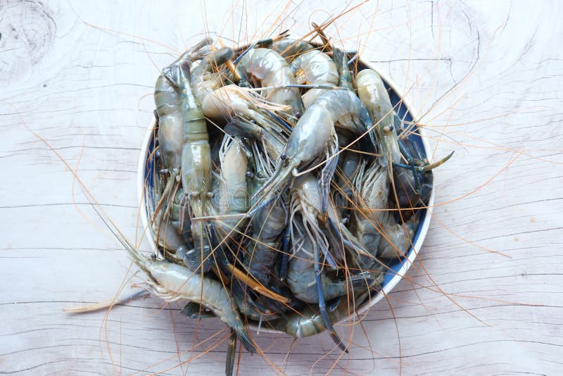 Close Up of Raw King Prawn on Table. Stock Photo - Image of prawn ...