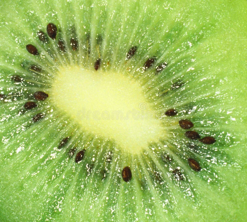 Sparkling kiwi stock photo. Image of tropical, macro - 31038486