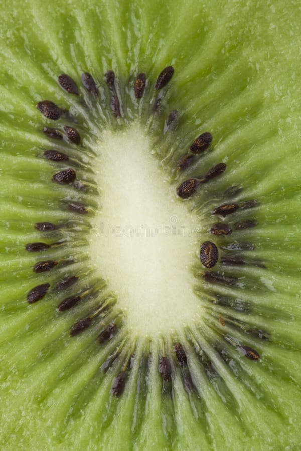 Core kiwi close up stock photo. Image of green, medicine - 15028678