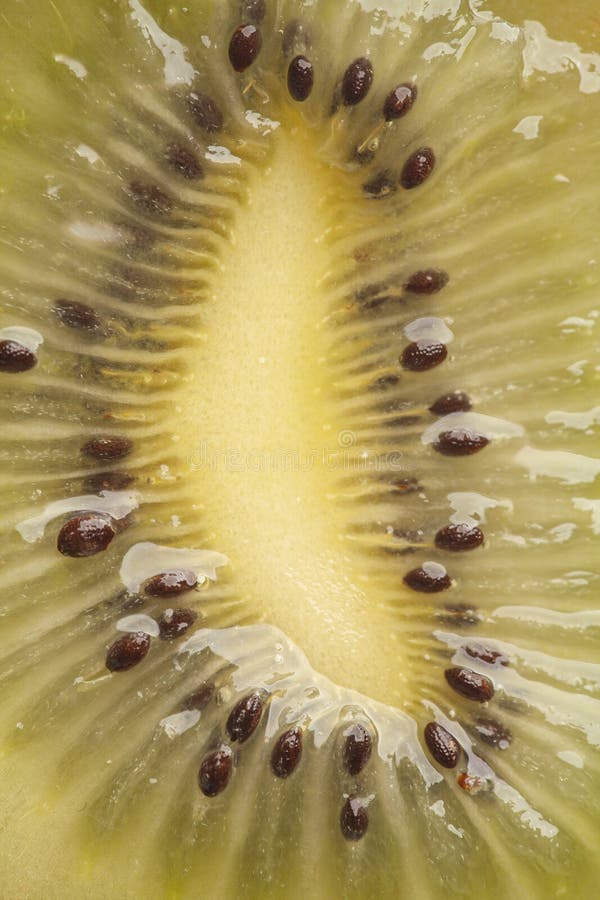 Close Up of Kiwi Fruit Background. Fresh Kiwi Fruit Texture Background ...