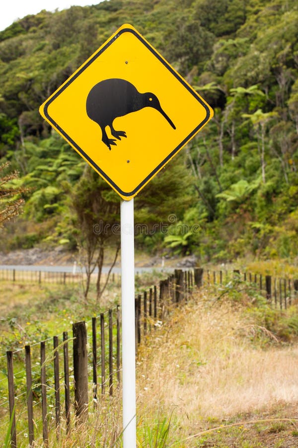 Australian Road Signs Collection Stock Photo - Image of koala, outback ...