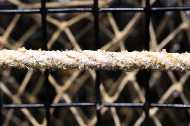 Close-up of a Knot on a Lobster Pot on Cape Cod Stock Photo - Image of ...