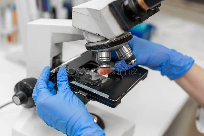 Close Up Lab Technician Research Blood Sample in Microscope Stock Image ...