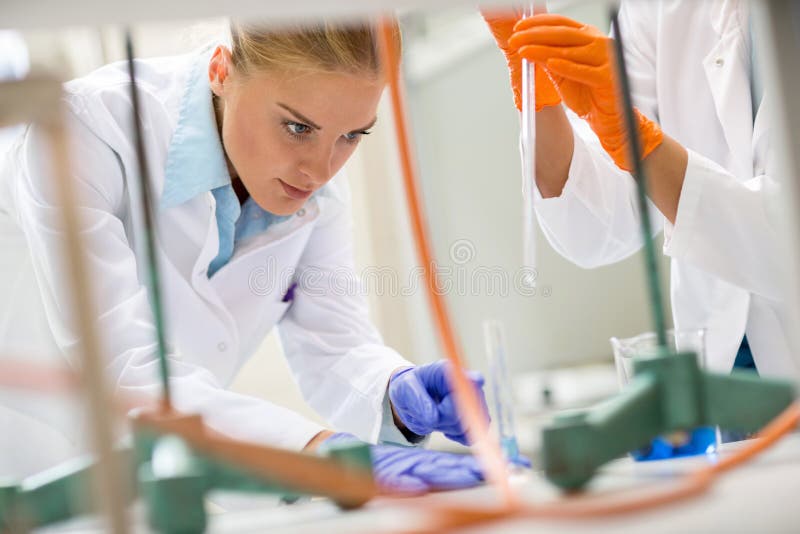 Close Up Lab Technician Work in Lab Stock Image - Image of glass ...
