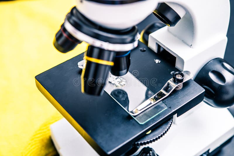 Close-up of a Laboratory Microscope Examining a Glass Slide with ...