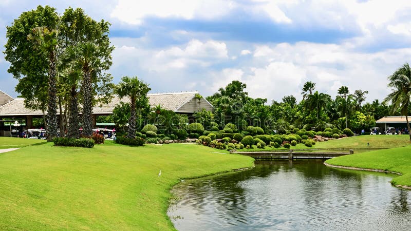 Close up lakeside View stock image. Image of forest - 103186451