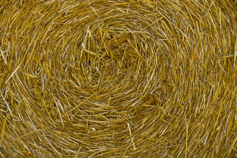 Hay bail close up stock photo. Image of bail, rural, natural - 58260762