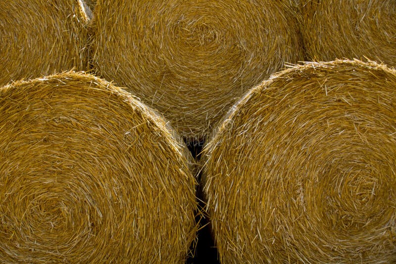 Hay bail close up stock photo. Image of bail, rural, natural - 58260762