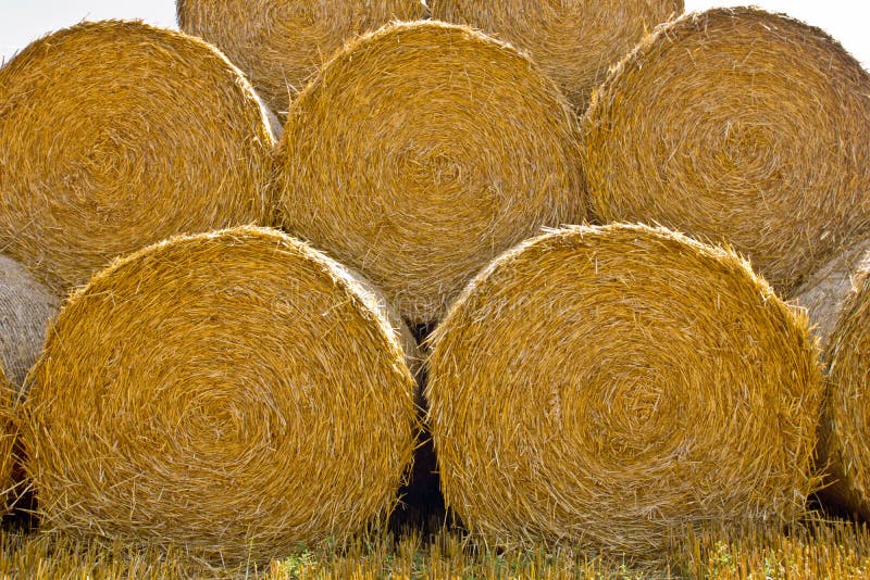 Hay bail close up stock photo. Image of bail, rural, natural - 58260762