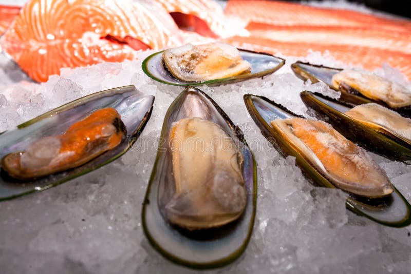 Close-up of large mussels stock image. Image of muscle - 95579265