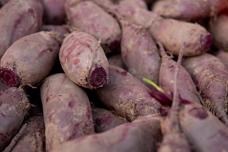 Beetroot stock photo. Image of detail, food, beetroot - 100978348