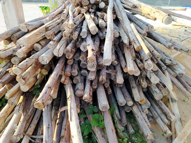 Close-up of a Large Pile of Wood at the Construction Site. Stock Photo ...