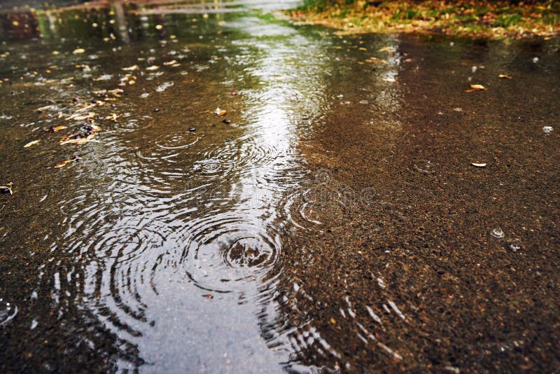 Close-up of a Large Puddle during Rain. Stock Photo - Image of road ...