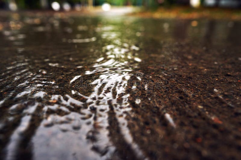 Close-up of a Large Puddle during Rain. on the Surface of the Water ...