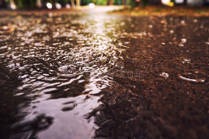 Close-up of a Large Puddle during Rain. on the Surface of the Water ...