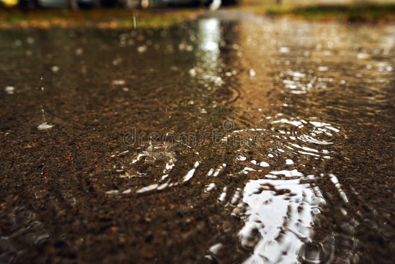 Close-up of a Large Puddle during Rain. on the Surface of the Water ...