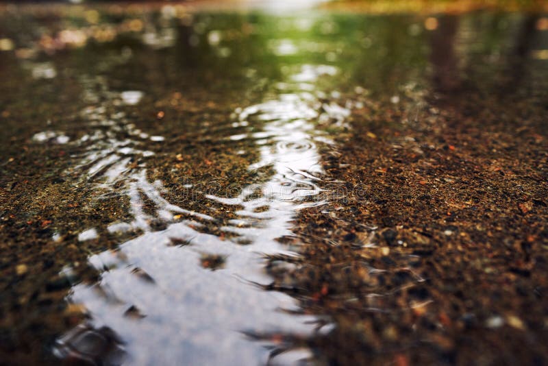 Close-up of a Large Puddle during Rain. Stock Image - Image of ground ...