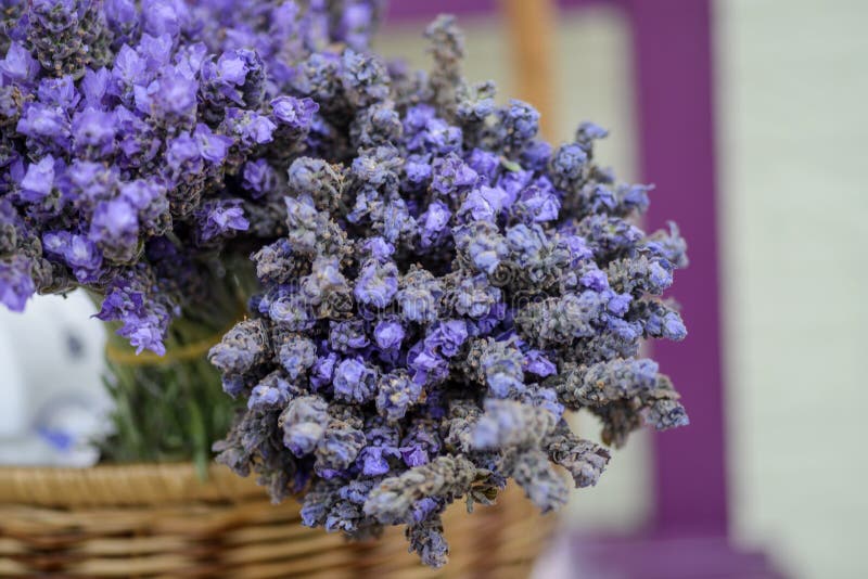 Bouquets of Lavender in Wooden Box Stock Image - Image of blank, design ...