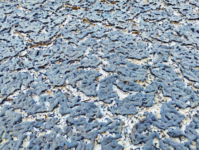 Close Up a Layer of Mud Mixed with Black Dye that Cracks on a Concrete ...