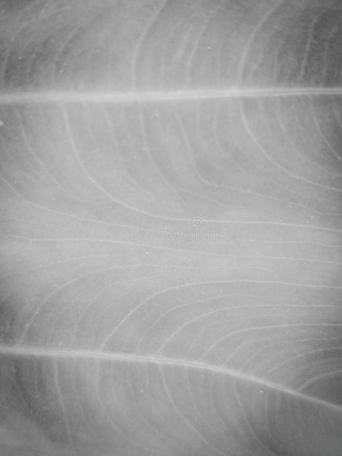 Light dark texture stock illustration. Illustration of textured - 359353859