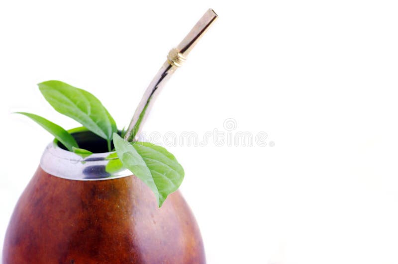 Mate Macro 2 stock photo. Image of mate, green, gourd - 18110382