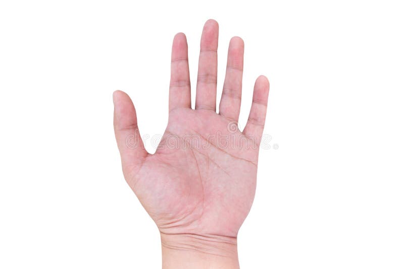 1,420 Left Right Palm Stock Photos - Free & Royalty-Free Stock Photos ...