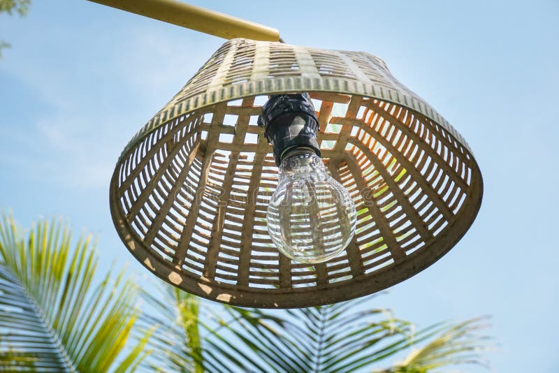 Light Bulb in Nature Garden Stock Image - Image of basket, wood: 118058107
