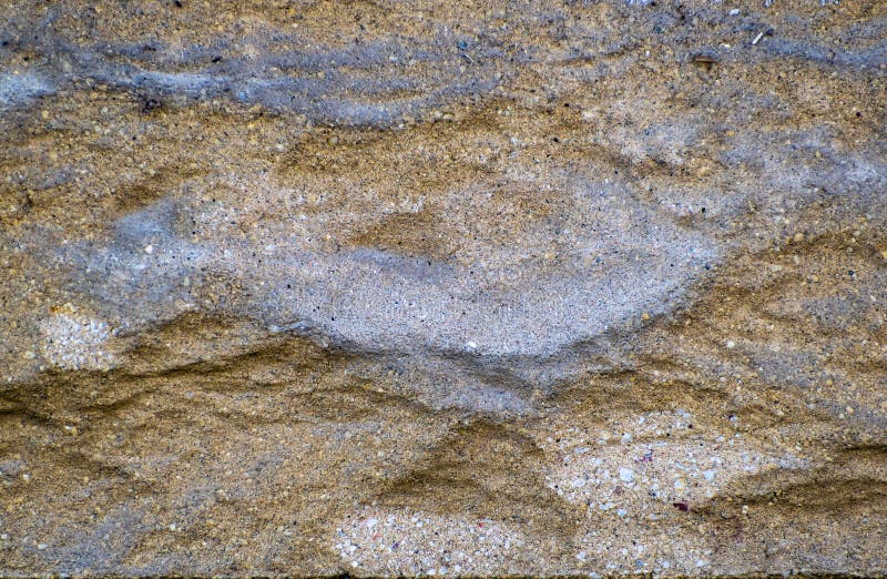 Close Up of Light Sandstone Stone Texture Stock Photo - Image of ...