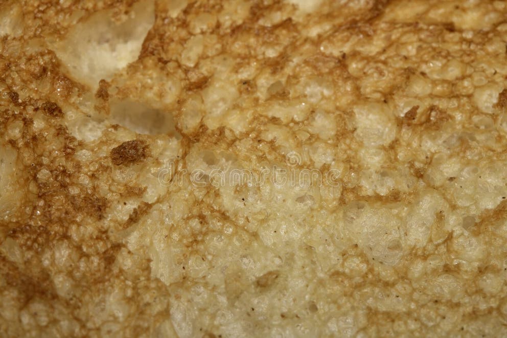 Close Up of Lightly Toasted Bread As a Texture Stock Image - Image of ...