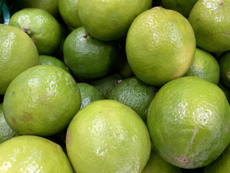 Stacked limes stock photo. Image of design, yellow, tree - 213241288