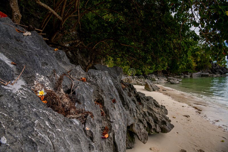 Close Up on the Limestone Rocks of Coron, Palawan, Philippines Stock ...