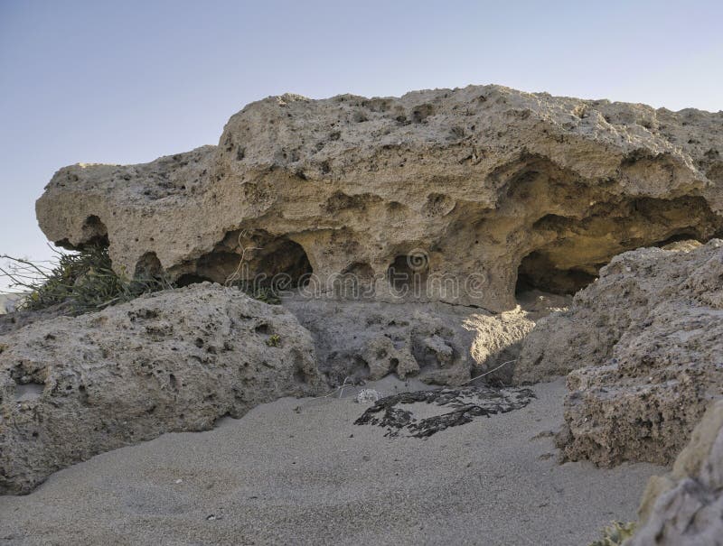 Close Up of Limestone Rocks on a Sandy Beach Stock Image - Image of ...