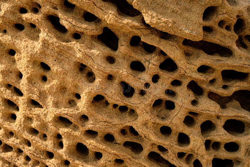 Close Up Limestone Texture Background, Natural Surface. Background on ...