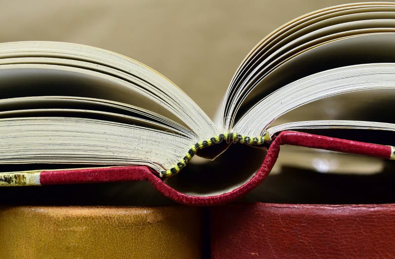 Close Up, Line, Product Design, Macro Photography Stock Image - Image ...