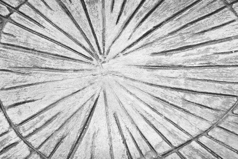 Line Stump Printed Patterns Texture on Gray or White Concrete Floor ...