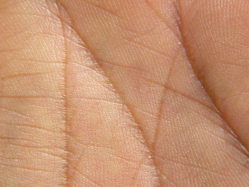 Lines in Palm of a Man S Hand Stock Photo - Image of mystic, beautiful ...
