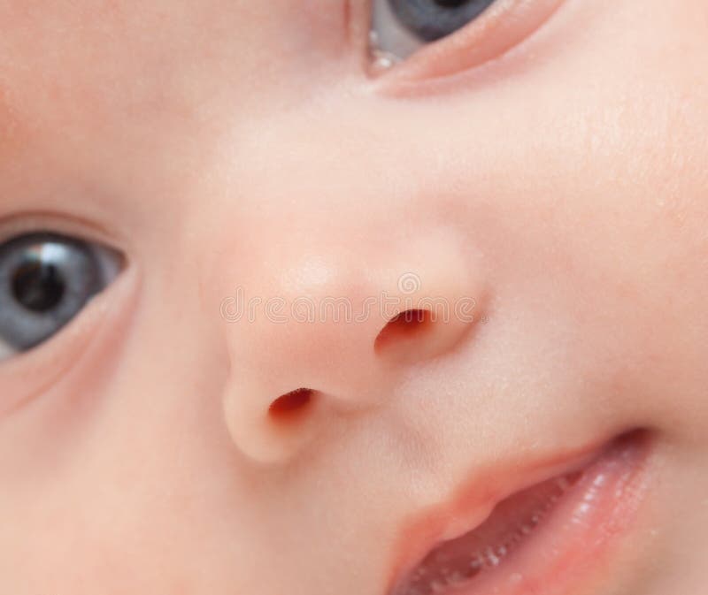 Close Up of the Little Nose of a Newborn Stock Photo - Image of newborn ...