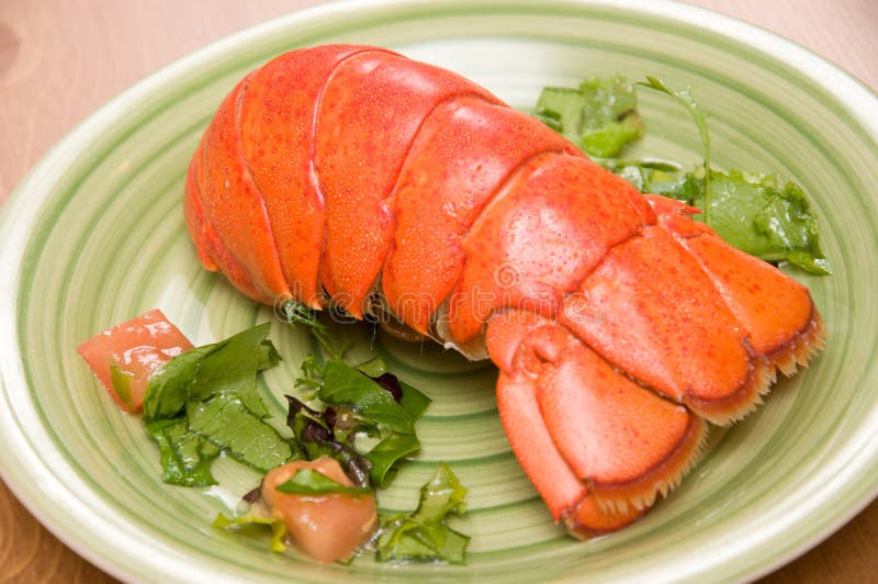 Lobster stock photo. Image of large, drop, food, delicious - 30304394