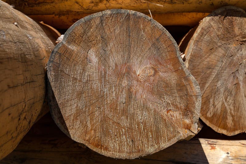 Close-up on a Log of a Tree in the Form of a Round Timber with Rings ...
