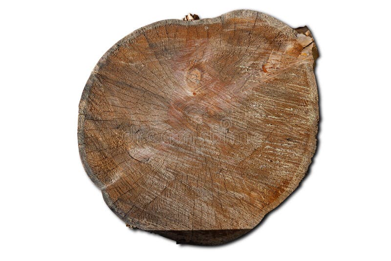 Close-up on a Log of a Tree in the Form of a Round Timber with Rings ...