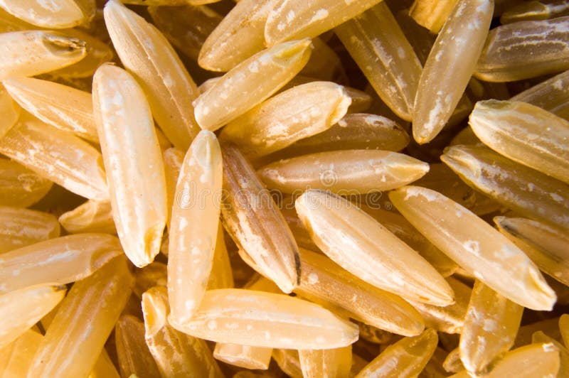 Close Up of Long Grain Brown Rice Stock Photo - Image of white, long ...