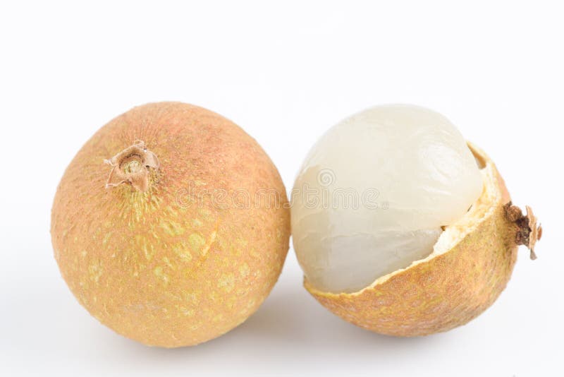 Close Up of Longan Eyeball Tree Plant Stock Image - Image of evergreen ...