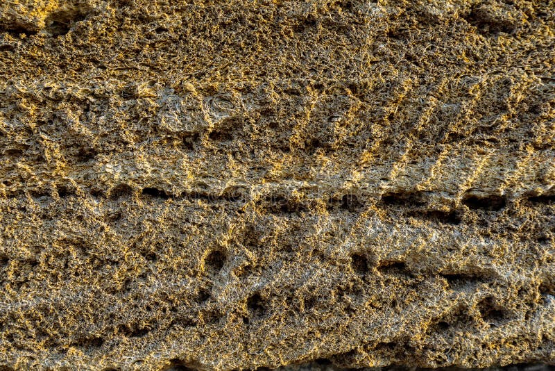 Close Up Look on High Resolution of Yellow Shell Rock Texture. Texture ...