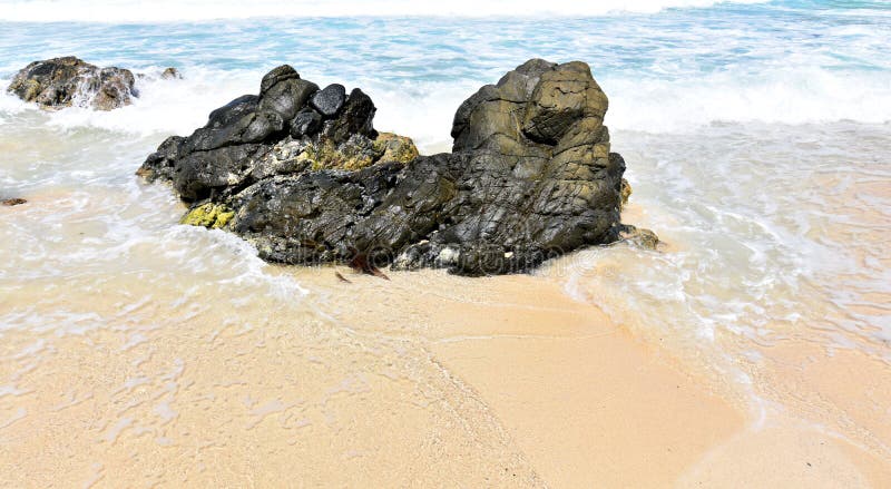 Close Up Look at a Rock on the Beach Stock Photo - Image of coastline ...